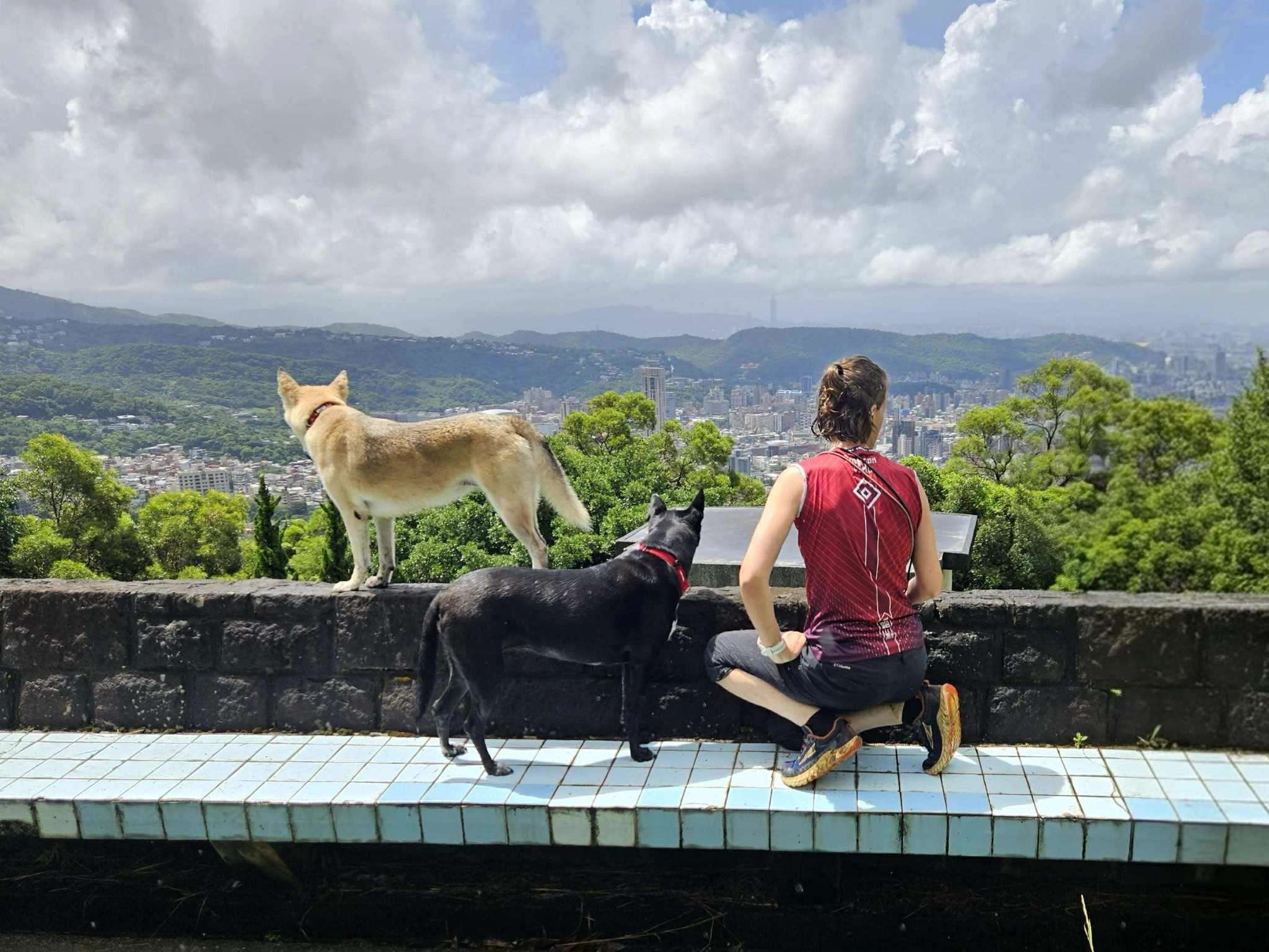 Cecilia Mathivet on Dog Training-Programs-Radio Taiwan International